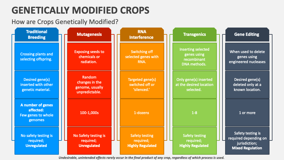 Genetically Modified Crops PowerPoint and Google Slides Template - PPT Slides