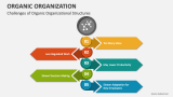 Organic Organization PowerPoint and Google Slides Template - PPT Slides