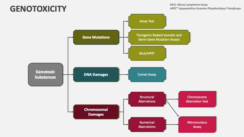Genotoxicity PowerPoint and Google Slides Template - PPT Slides