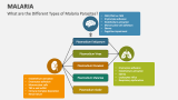 Malaria PowerPoint and Google Slides Template - PPT Slides