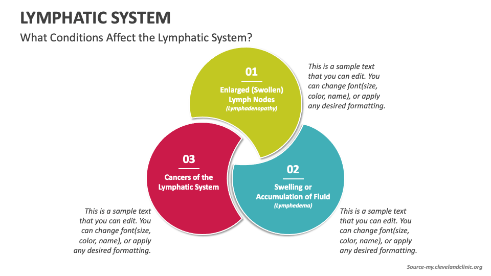 Lymphatic System PowerPoint and Google Slides Template - PPT Slides