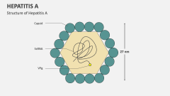 Hepatitis A PowerPoint and Google Slides Template - PPT Slides