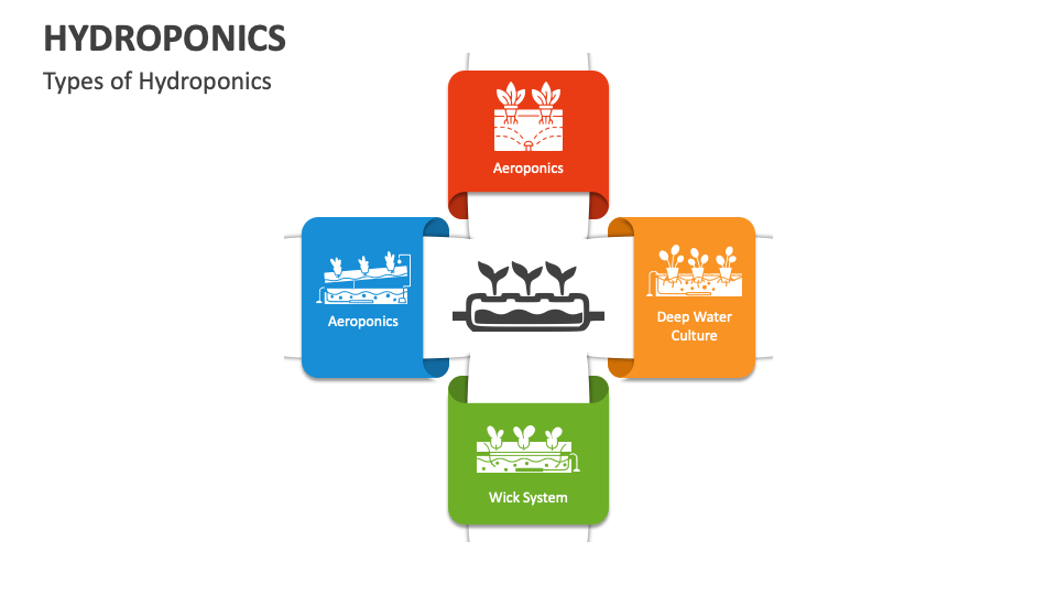 Hydroponics PowerPoint and Google Slides Template - PPT Slides