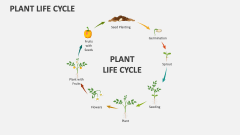 Plant Life Cycle PowerPoint and Google Slides Template - PPT Slides