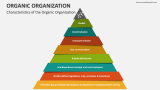 Organic Organization PowerPoint and Google Slides Template - PPT Slides