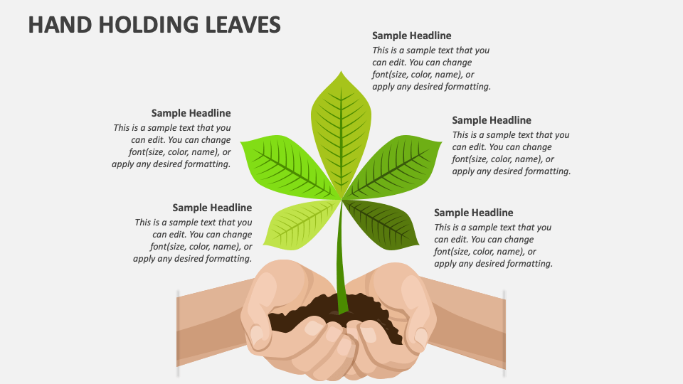 Hand Holding Leaves PowerPoint and Google Slides Template - PPT Slides