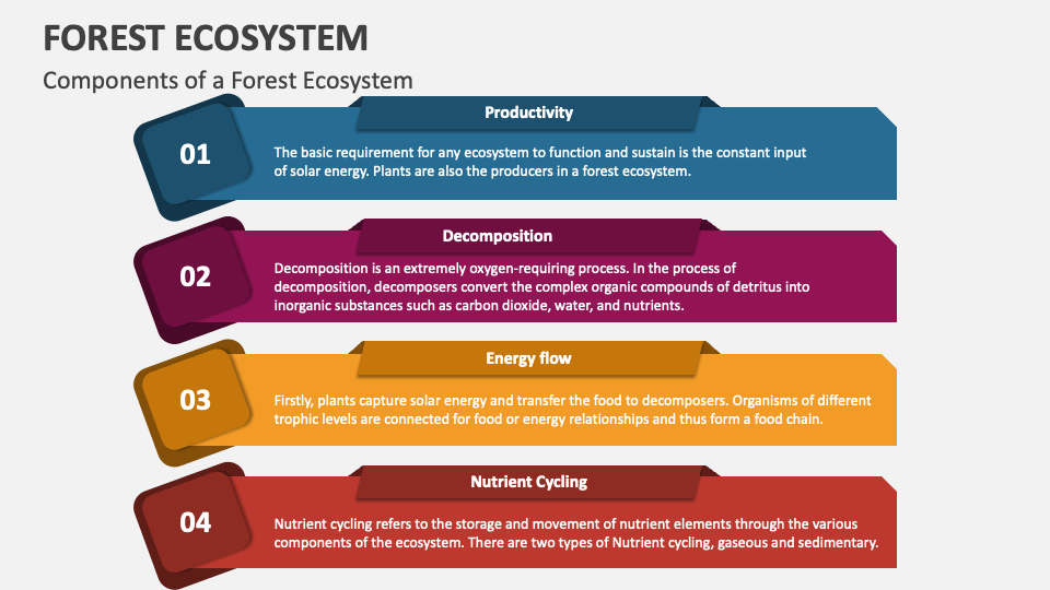 Forest Ecosystem PowerPoint Presentation Slides - PPT Template