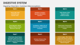 Digestive System PowerPoint and Google Slides Template - PPT Slides