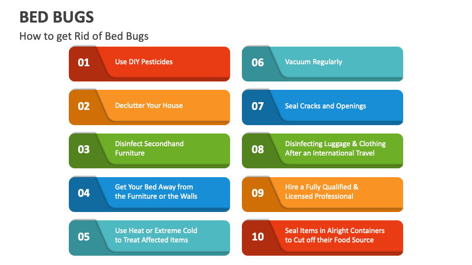 Bed Bugs PowerPoint and Google Slides Template - PPT Slides