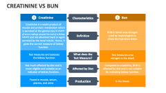 Creatinine Vs Bun PowerPoint and Google Slides Template - PPT Slides