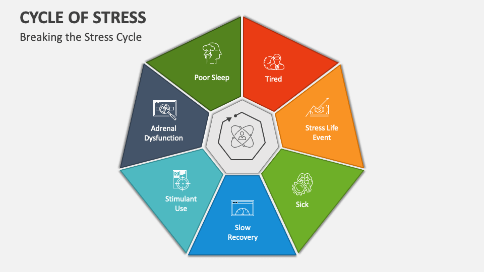 Cycle of Stress PowerPoint Presentation Slides - PPT Template