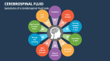 Cerebrospinal Fluid PowerPoint Presentation Slides - PPT Template