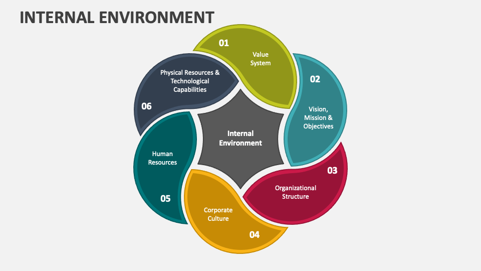 Internal Environment PowerPoint Presentation Slides - PPT Template
