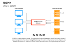 NGINX PowerPoint and Google Slides Template - PPT Slides