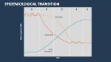 Epidemiological Transition PowerPoint Presentation Slides - PPT Template