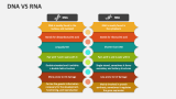 DNA Vs RNA PowerPoint and Google Slides Template - PPT Slides