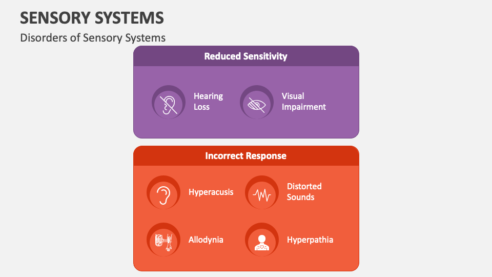 Sensory Systems PowerPoint Presentation Slides - PPT Template