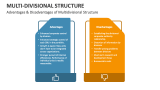 Multi-Divisional Structure PowerPoint Presentation Slides - PPT Template