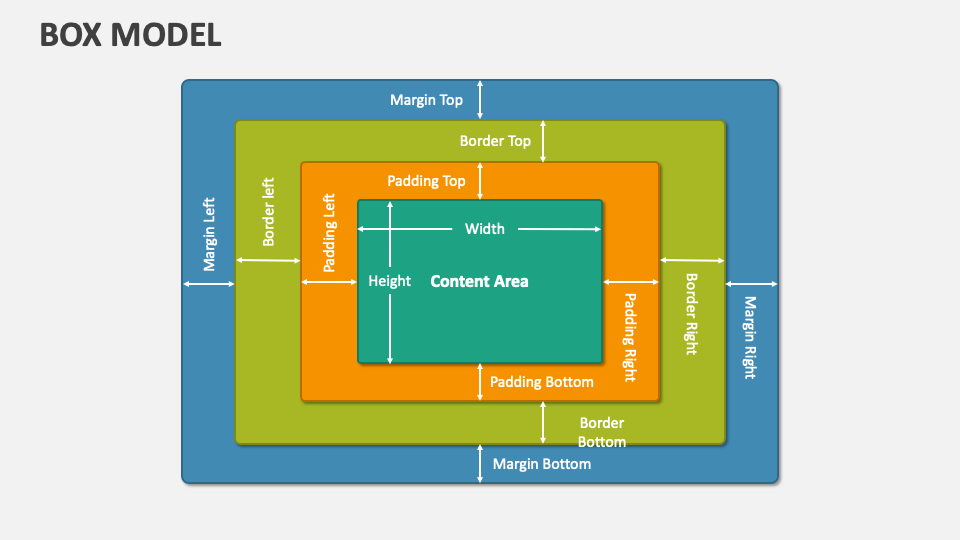 Box Model PowerPoint Presentation Slides - PPT Template Box Model PowerPoint Presentation Slides - PPT Template