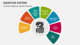 Digestive System PowerPoint and Google Slides Template - PPT Slides