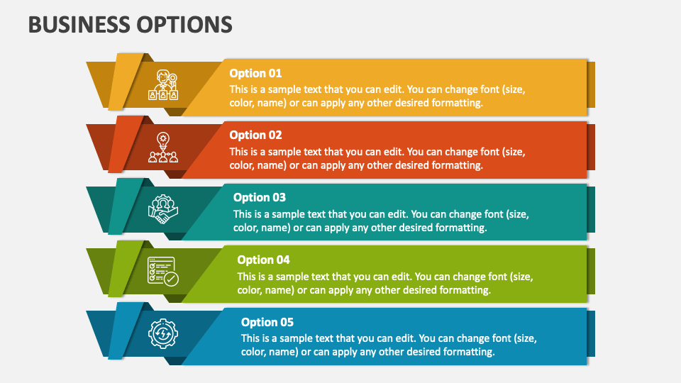 Business Options PowerPoint and Google Slides Template - PPT Slides