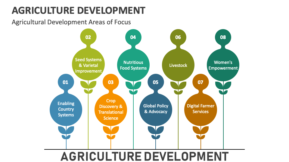 Agriculture Development PowerPoint and Google Slides Template - PPT Slides