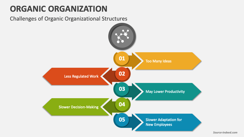 Organic Organization PowerPoint and Google Slides Template - PPT Slides