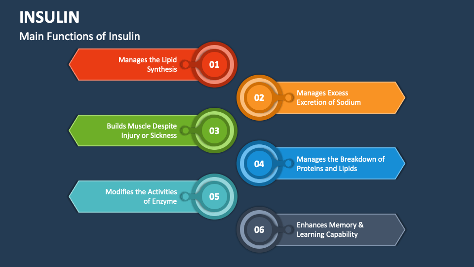 Insulin PowerPoint and Google Slides Template - PPT Slides