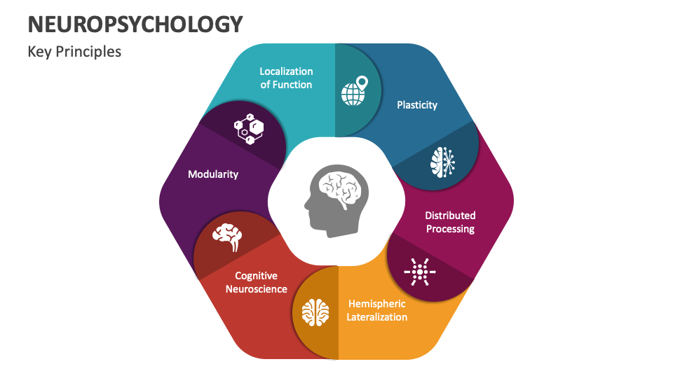 Neuropsychology PowerPoint and Google Slides Template - PPT Slides