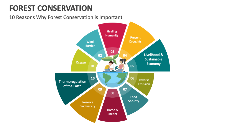 Forest Conservation PowerPoint and Google Slides Template - PPT Slides