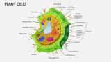 Plant Cells PowerPoint and Google Slides Template - PPT Slides