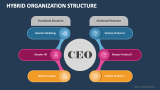 Hybrid Organization Structure PowerPoint Presentation Slides - PPT Template