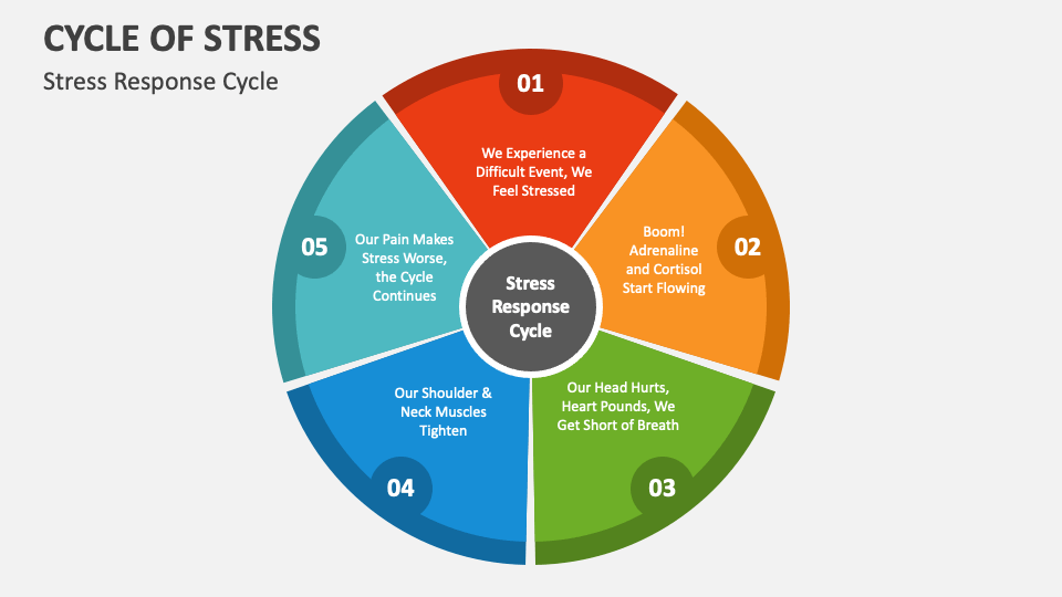 Cycle of Stress PowerPoint Presentation Slides - PPT Template
