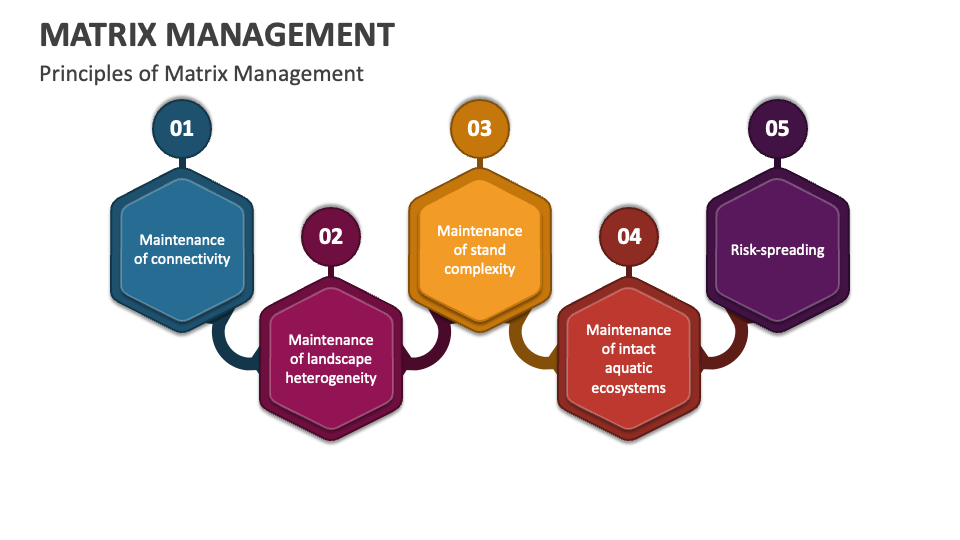 Matrix Management PowerPoint Presentation Slides - PPT Template
