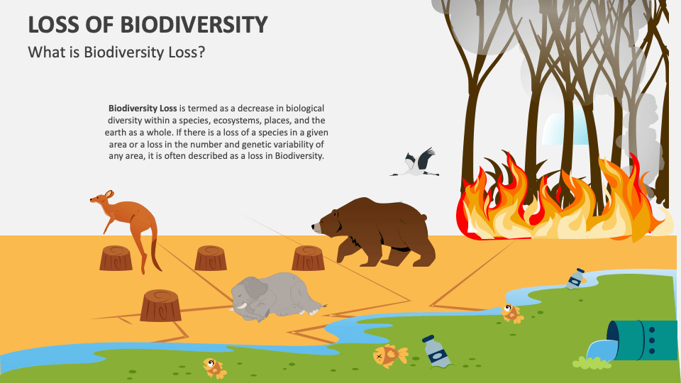 Biodiversity Loss