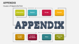 Appendix PowerPoint and Google Slides Template - PPT Slides
