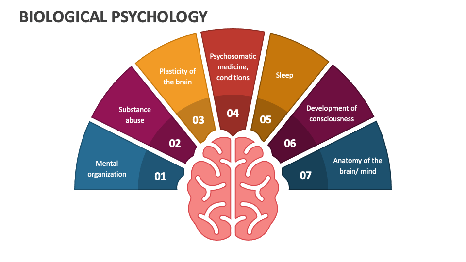 Biological Psychology PowerPoint Presentation Slides - PPT Template