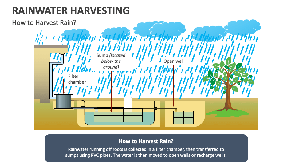 Rainwater Harvesting PowerPoint and Google Slides Template - PPT Slides