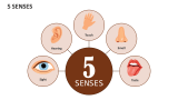 5 Senses PowerPoint and Google Slides Template - PPT Slides