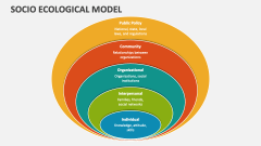 Socio Ecological Model PowerPoint and Google Slides Template - PPT Slides