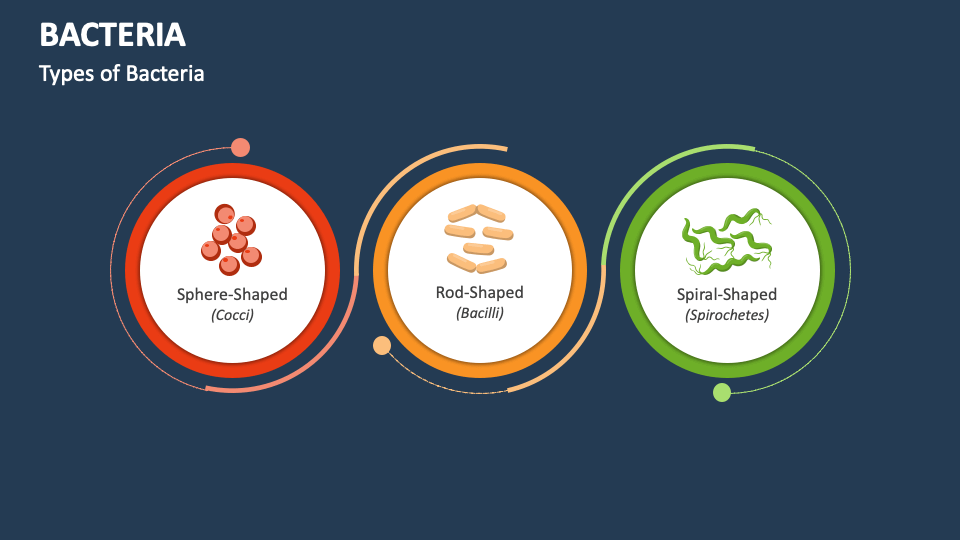 Bacteria PowerPoint and Google Slides Template - PPT Slides