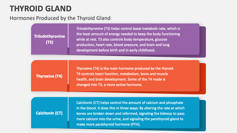 Thyroid Parathyroid And Neck Ppt Powerpoint
