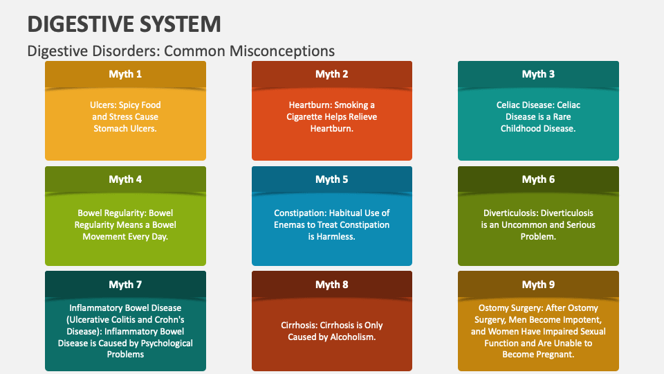 Digestive System PowerPoint and Google Slides Template - PPT Slides