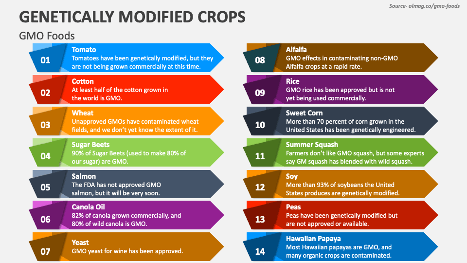 Genetically Modified Crops PowerPoint and Google Slides Template - PPT Slides