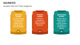 Jaundice PowerPoint and Google Slides Template - PPT Slides
