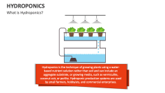 Hydroponics PowerPoint and Google Slides Template - PPT Slides