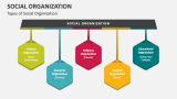 Social Organization PowerPoint and Google Slides Template - PPT Slides