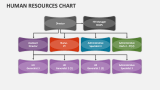 Human Resources Chart PowerPoint Presentation Slides - PPT Template