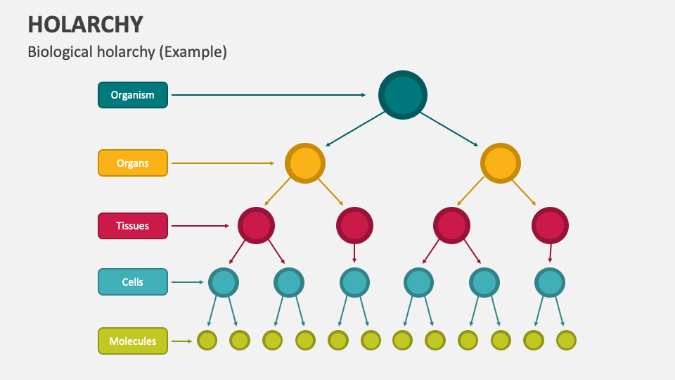 Holarchy PowerPoint Presentation Slides - PPT Template