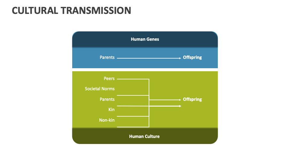 Cultural Transmission PowerPoint Presentation Slides - PPT Template